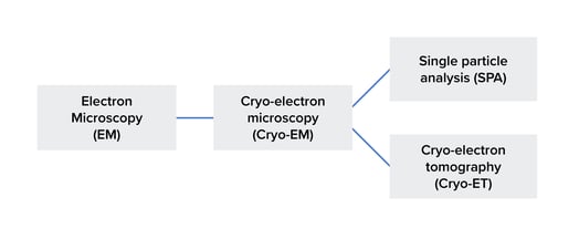 What is the difference between cryo-EM and cryo-ET?
